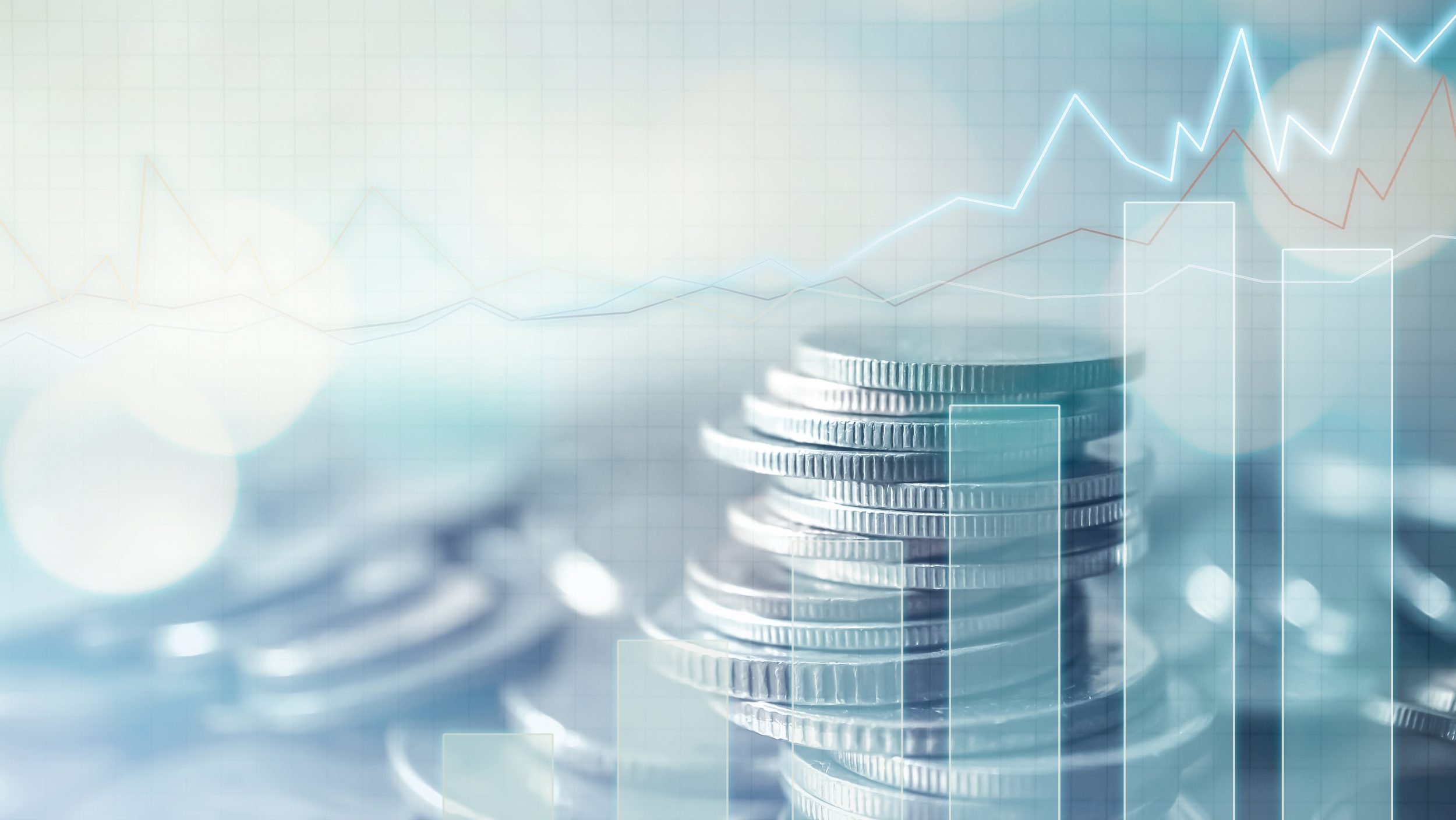 IRENE BORUM - Who’s Who of Professional Women