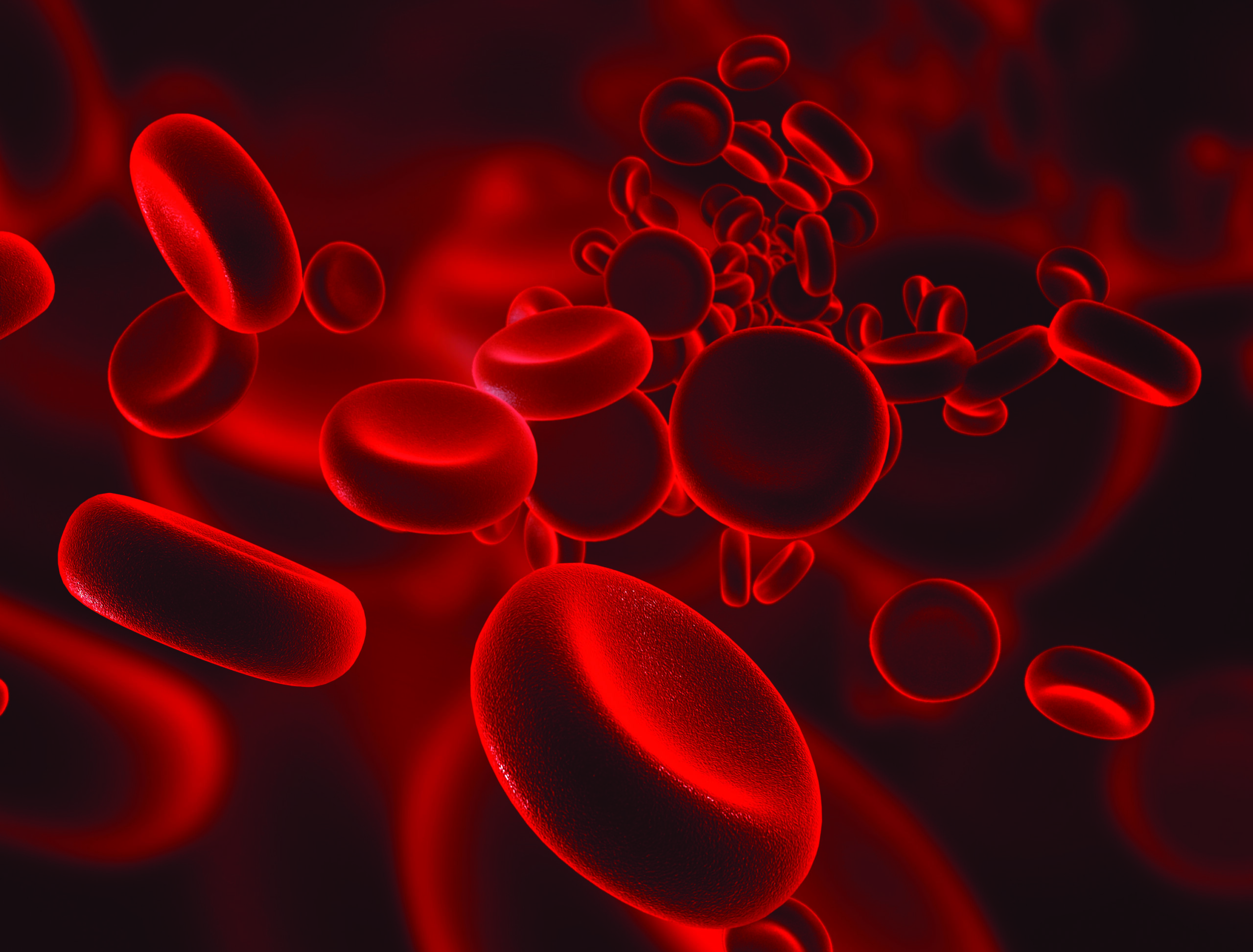 YASMEN HELEN SIMONIAN - Professional Women