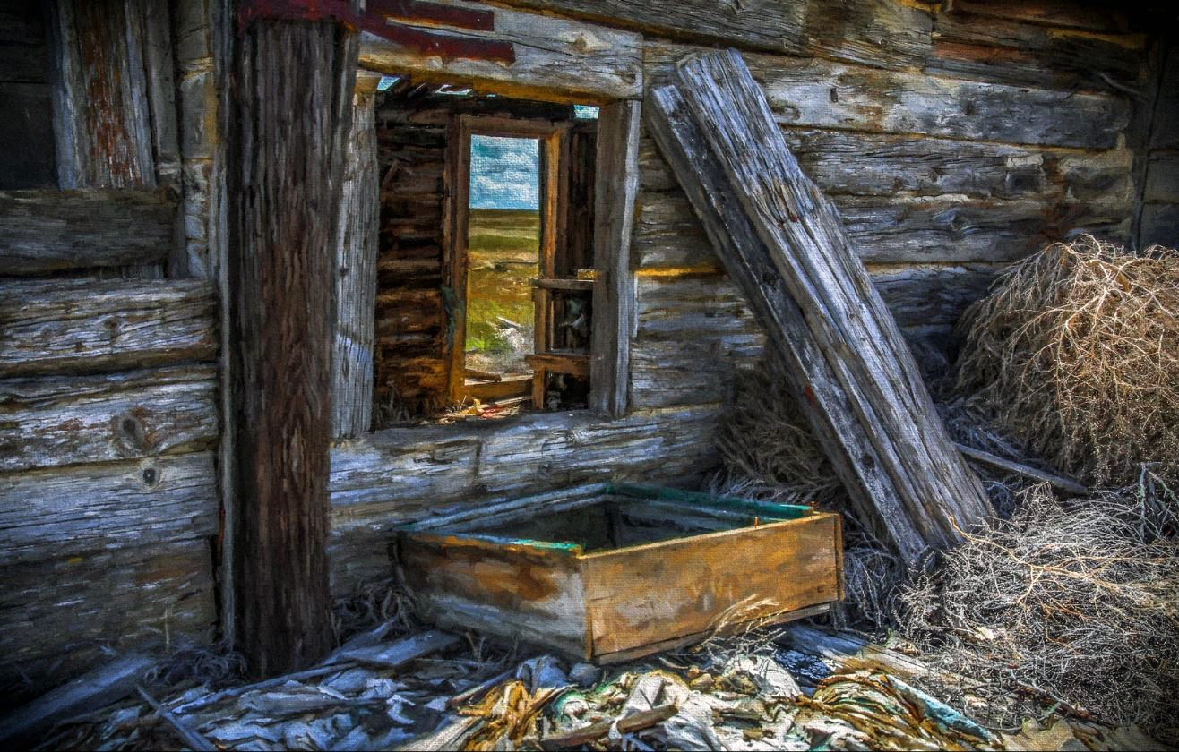 JANICE LYNN BENNETT - Professional Women