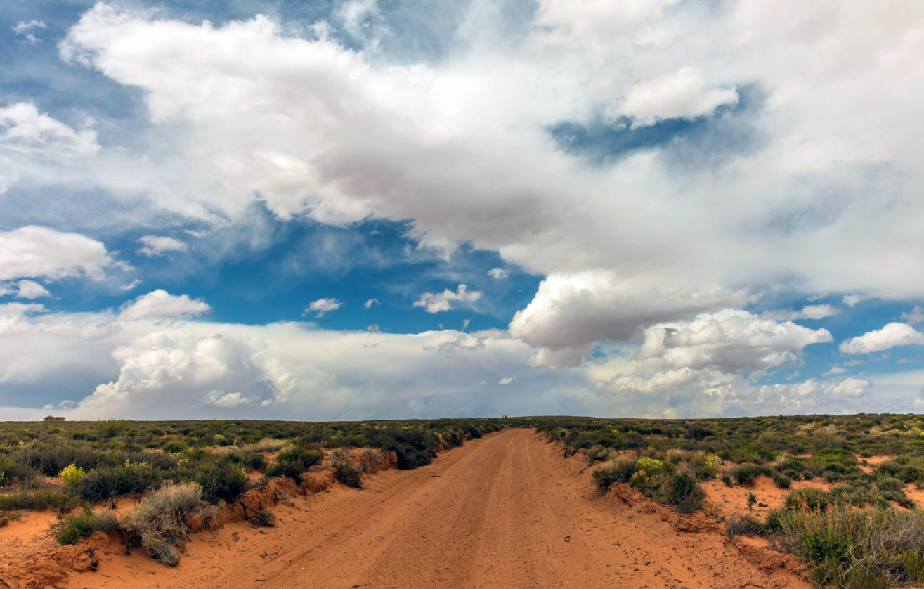 JANICE LYNN BENNETT - Professional Women