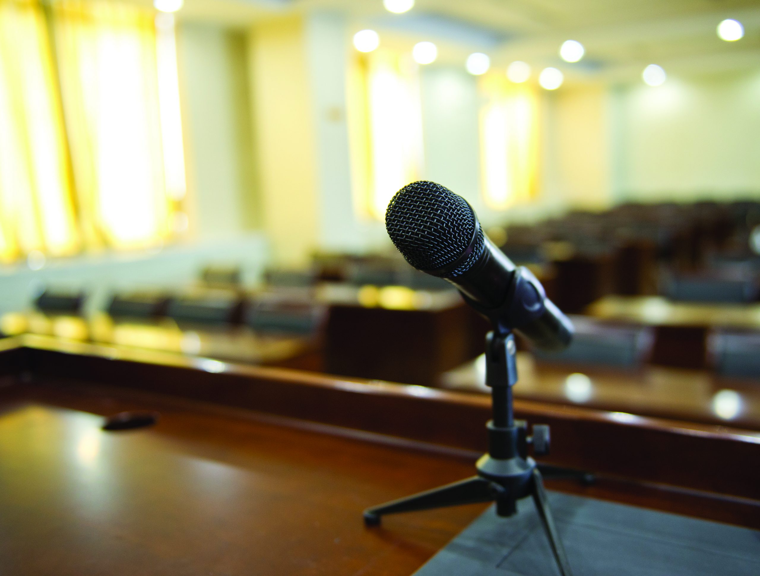 FAUSTA BRITTON - Who’s Who of Professional Women